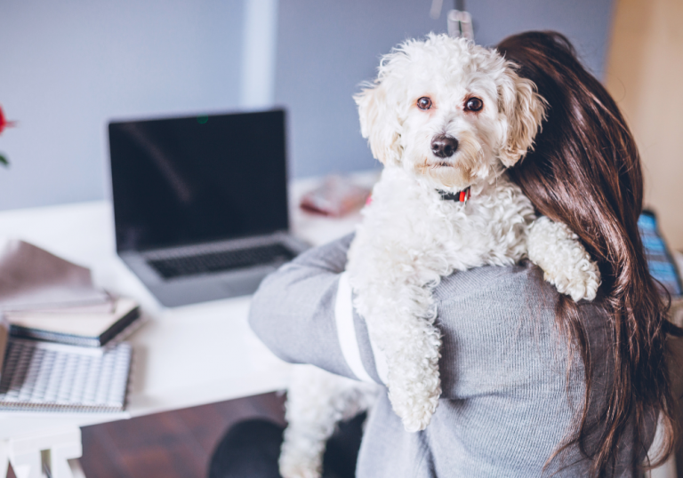Learn More About American Service Pets & Helpful Information