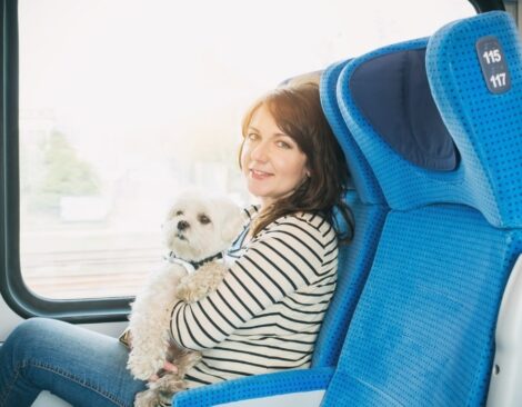 Managing Service Dog Discrimination