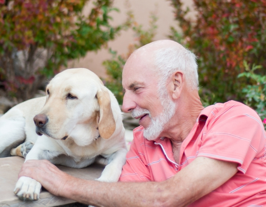 Managing Service Dog Discrimination