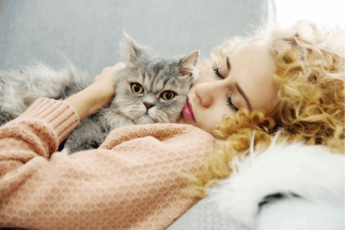 The Benefits Of An Emotional Comfort Animal On Mental Health