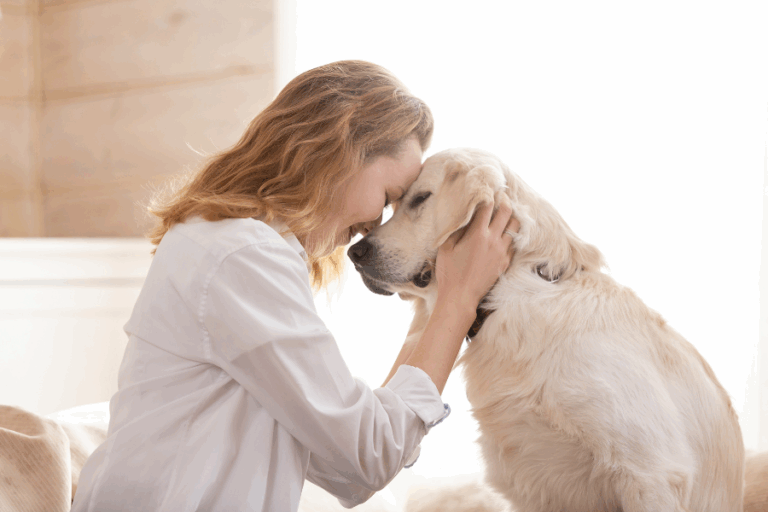 Emotional Support Animal Discrimination: Real-Life Data