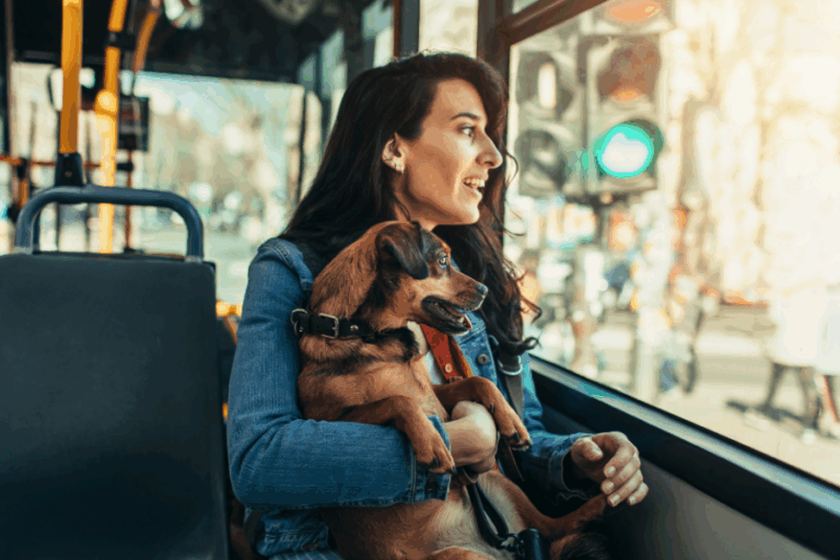 Can Dogs Go In Home Depot? What ESA & PSA Owners Should Know