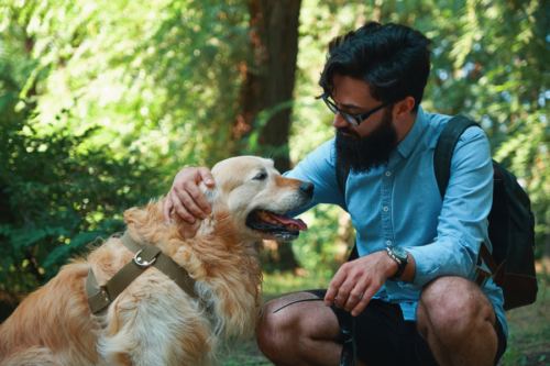 12 Best Emotional Support Dogs | Choosing The Right Breed